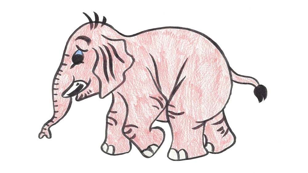 Jak nakreslit slona - poradíme přehledně a srozumitelně