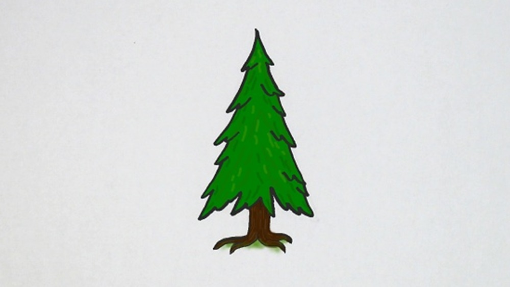 Jak nakreslit strom - poradíme přehledně a srozumitelně