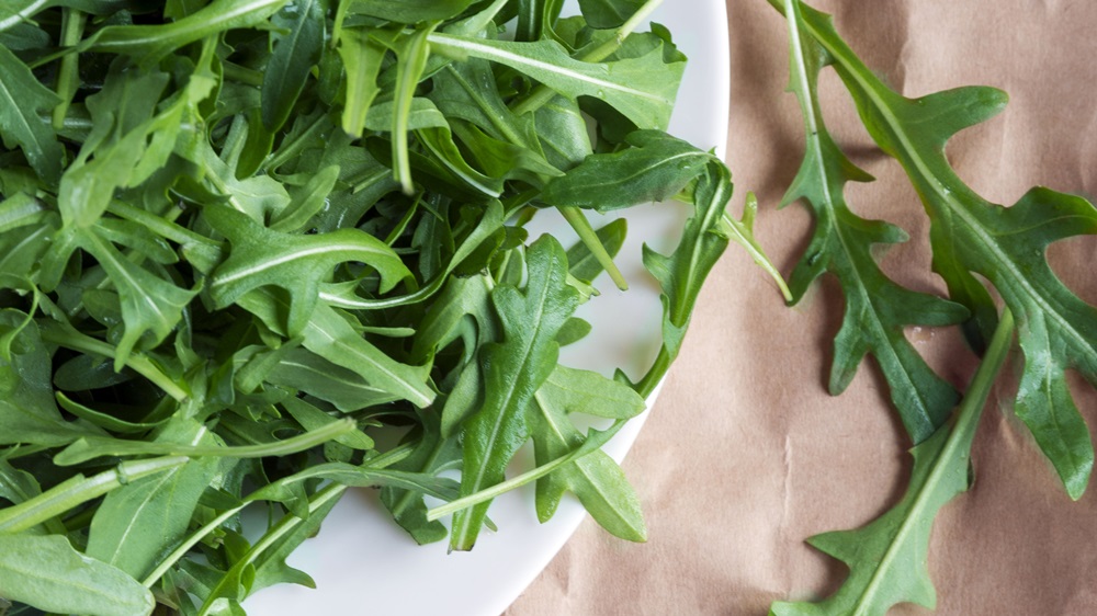 Rukola – roketa → návod na pěstování, účinky, použití